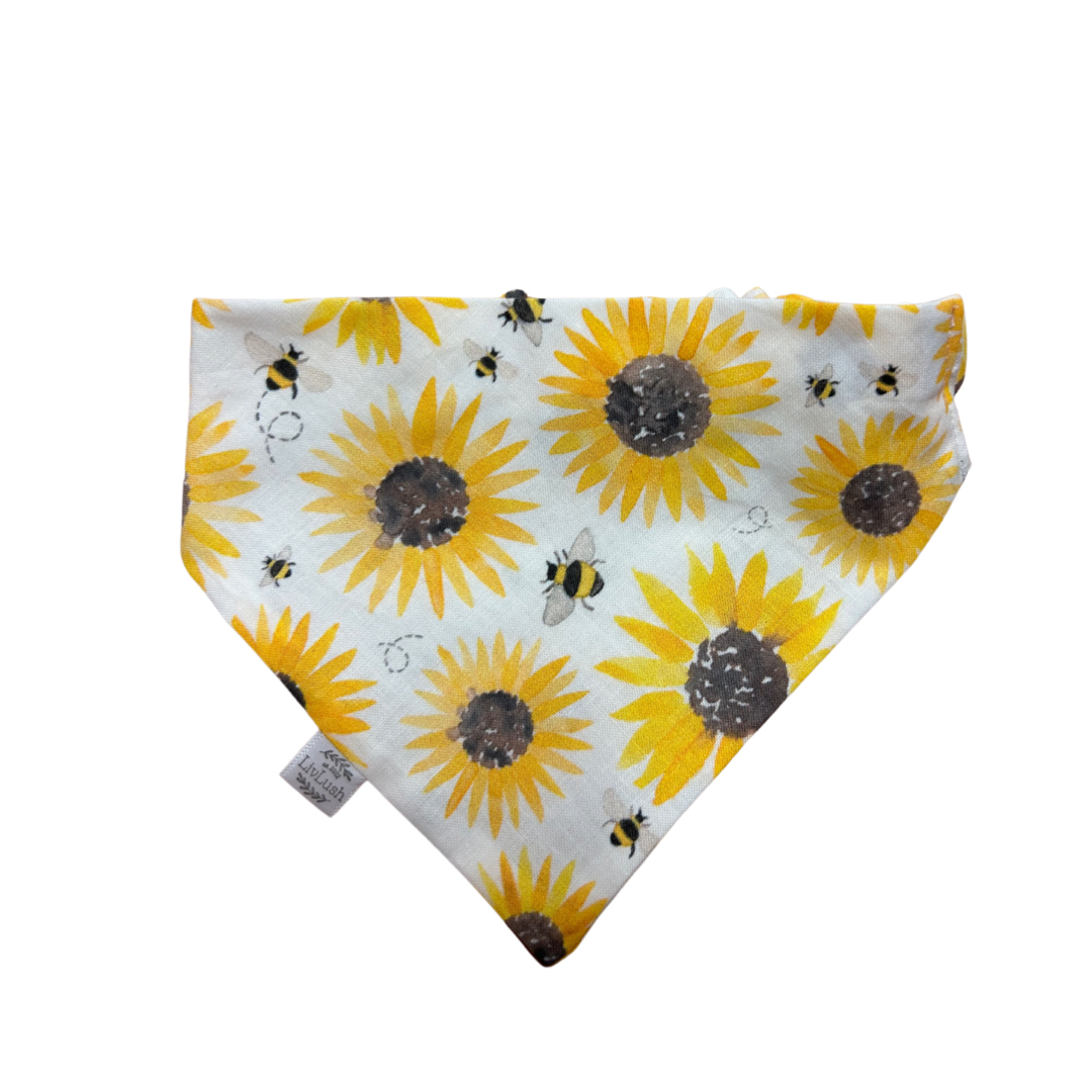 scruffies – LivLush Inc.